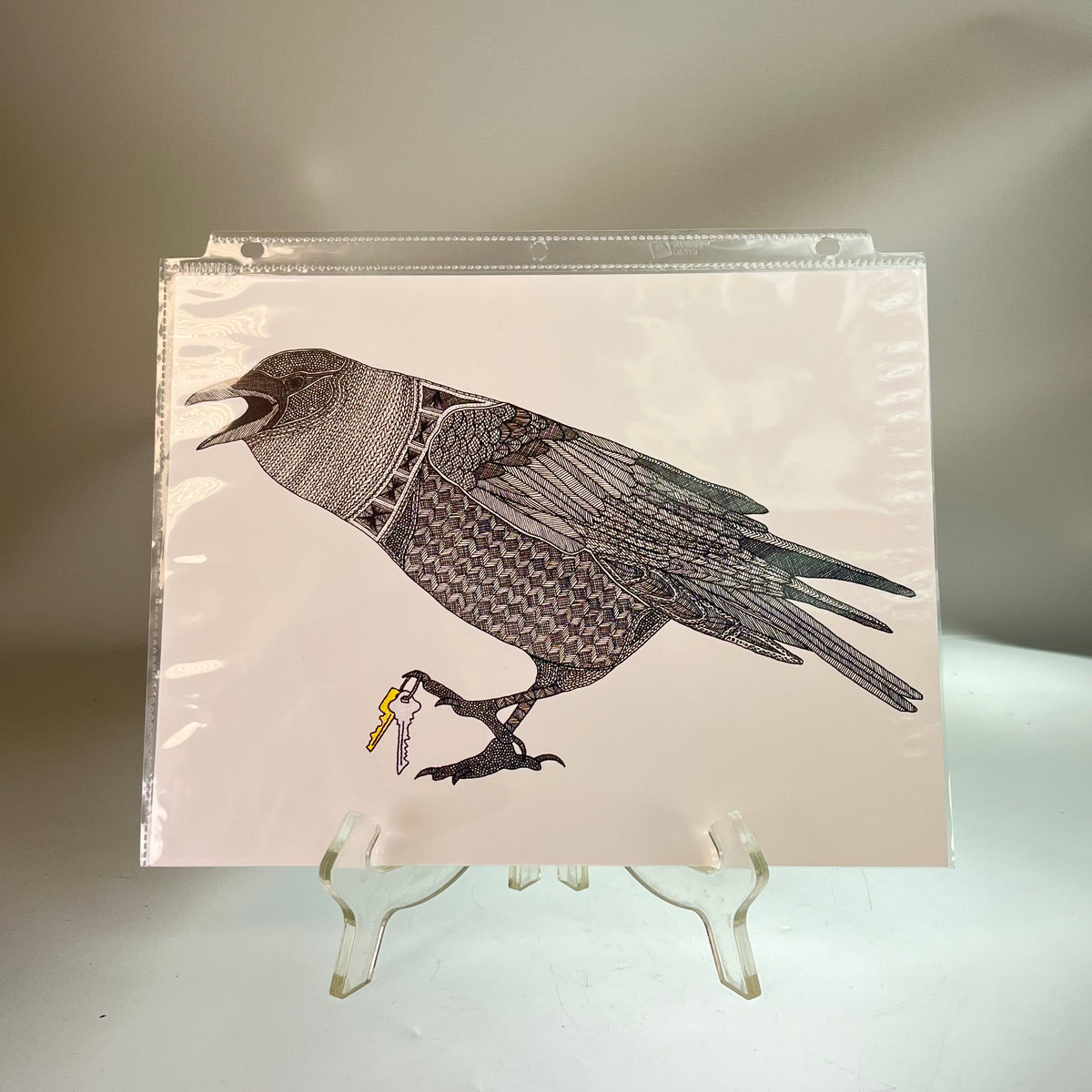 Brown - Crow Line drawing print – Terra Studios